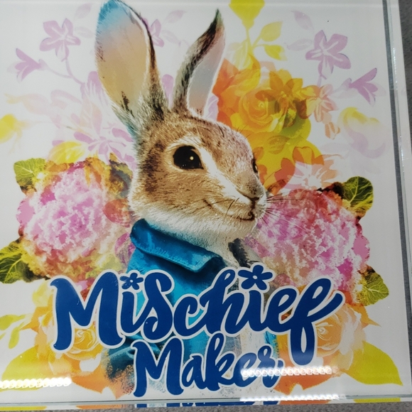 Accents | Peter Rabbit Mischief Maker Table Decor | Poshmark